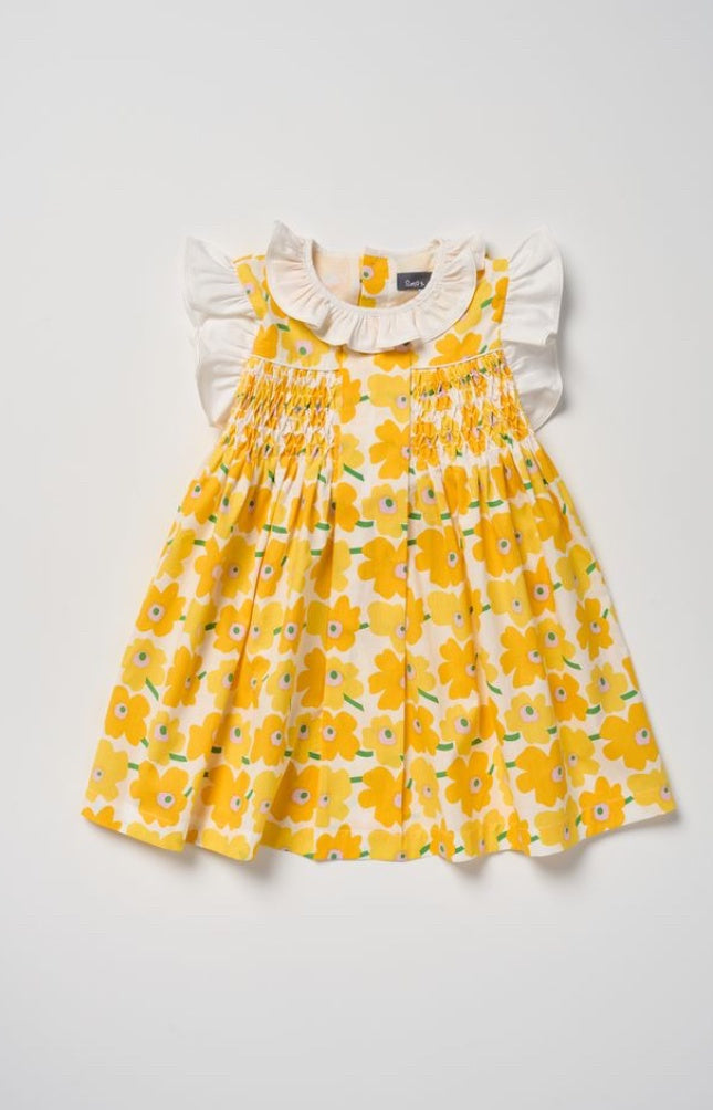 Smox Rox - Little Ray Dress – Fox in Sox Kids